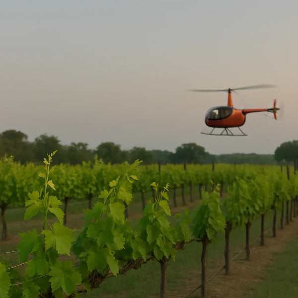 A Spring Freeze Puts the Vintage on the Line – Robert Clay Vineyards